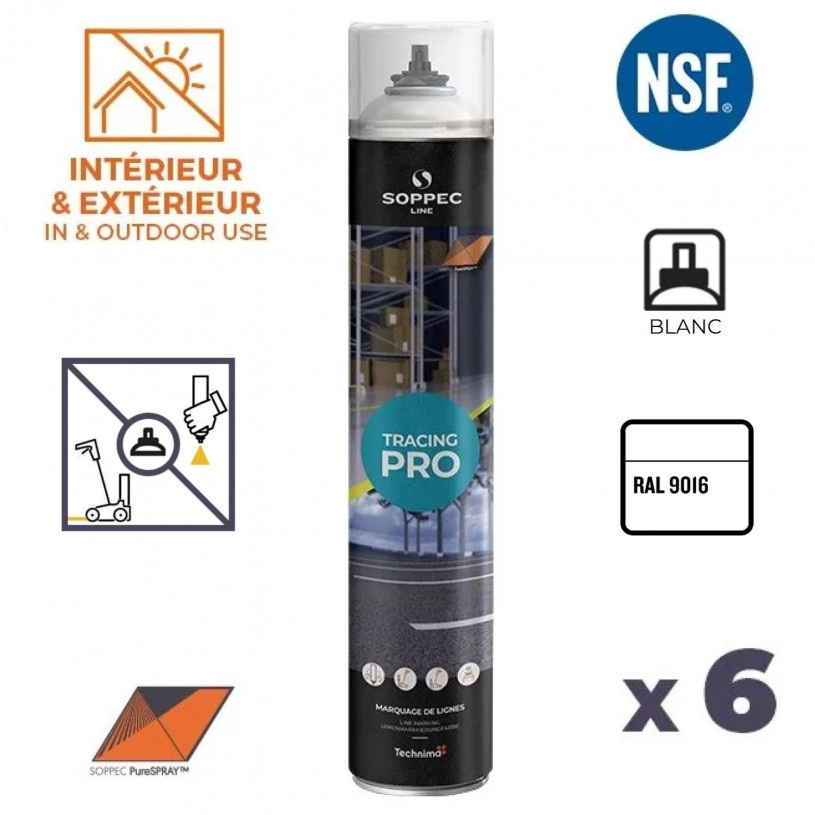 6 Traceurs de Ligne Aérosol 1000ML - Intérieur/Extérieur - PureSPRAY ...
