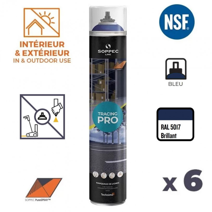 6 Traceurs de Ligne Aérosol 1000ML - Intérieur/Extérieur - PureSPRAY ...